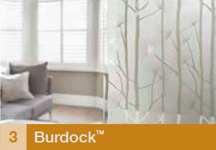 Pilkington Glass & Finesse Windows